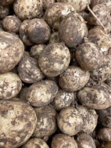 Picasso Potatoes - Spalding Farm Shop