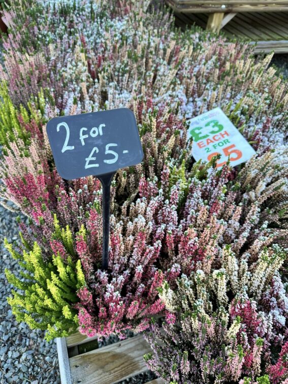 Spalding Farm Shop | On A16 between Spalding and Boston