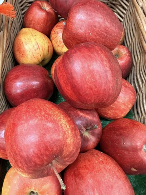 Spalding Farm Shop | On A16 between Spalding and Boston