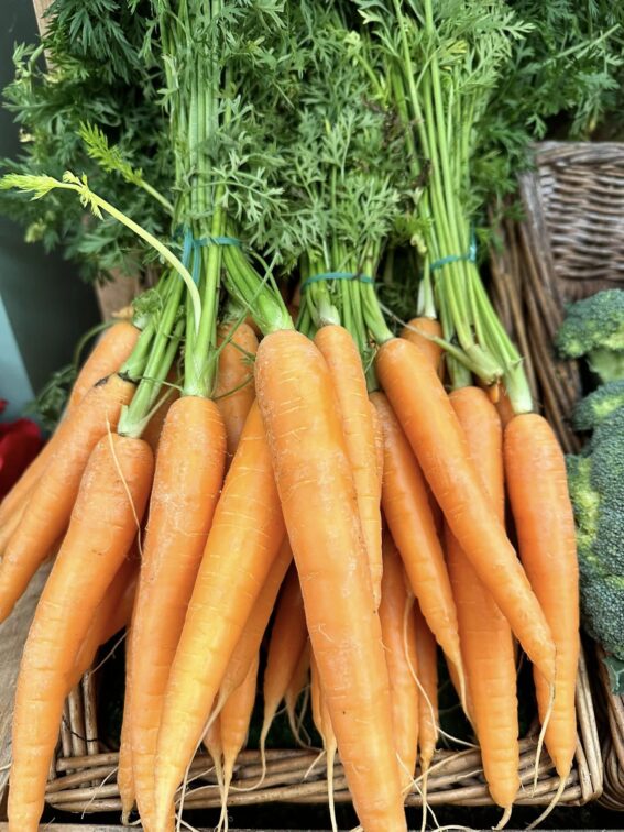 Spalding Farm Shop | On A16 between Spalding and Boston